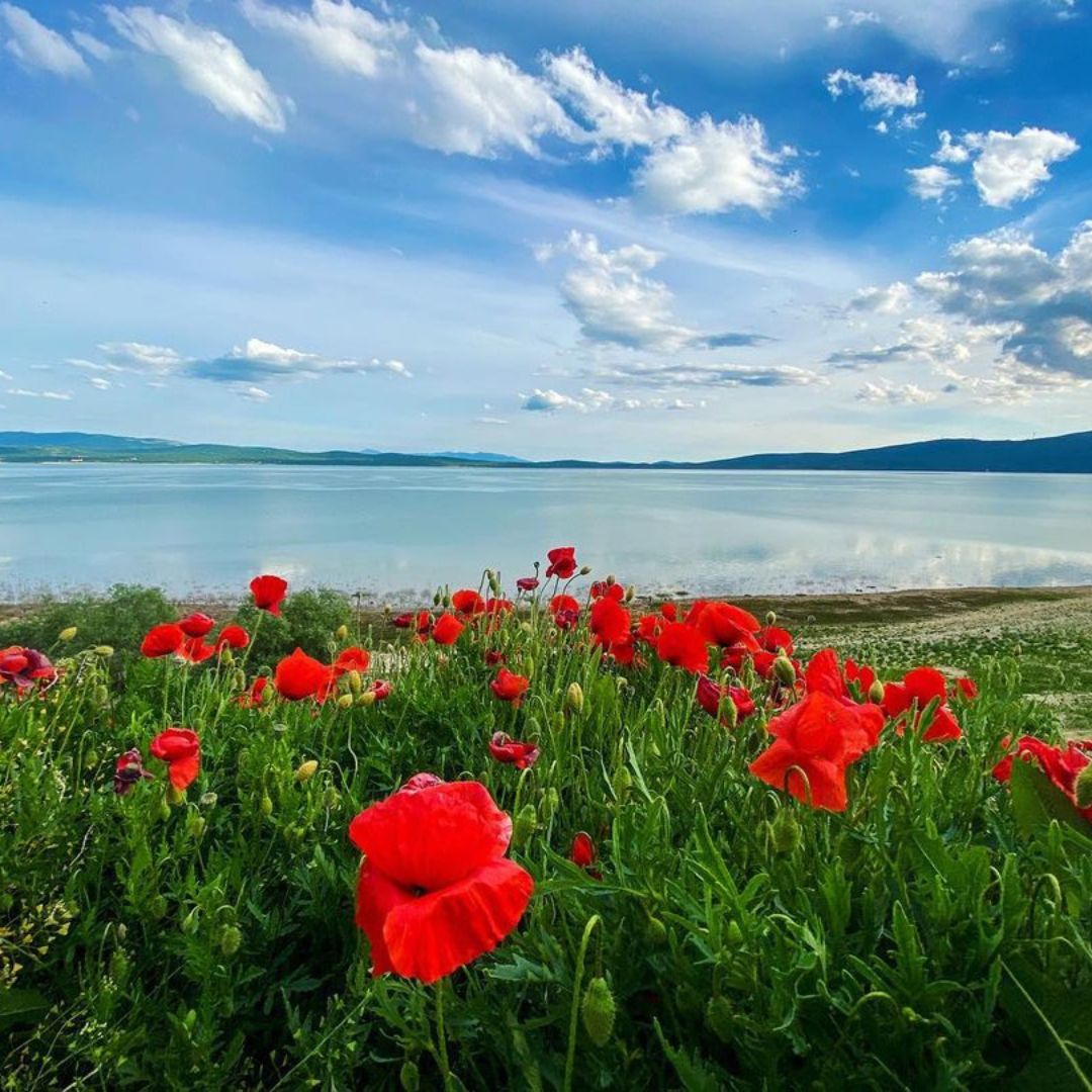 Discover Bosnia & Herzegovina