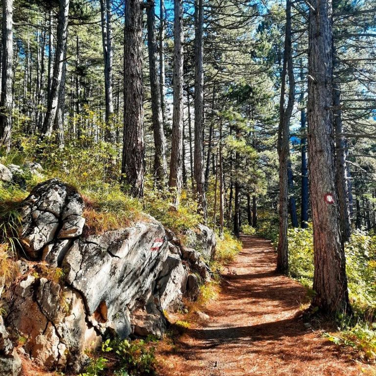 Discover Bosnia & Herzegovina