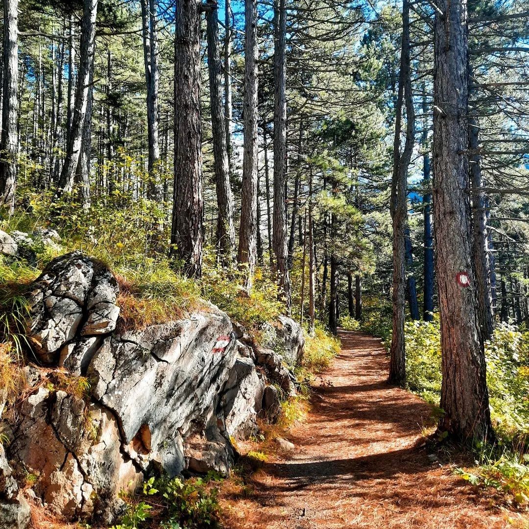 Discover Bosnia & Herzegovina